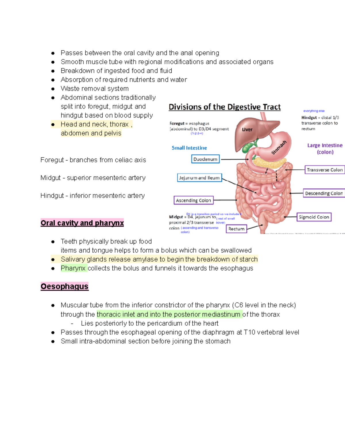 The digestive System - Module led by Diana Swales, Tracey Wilkinson and ...
