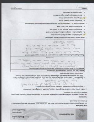 Sickle Cell Packet - Worksheet - BIO 201 - Studocu