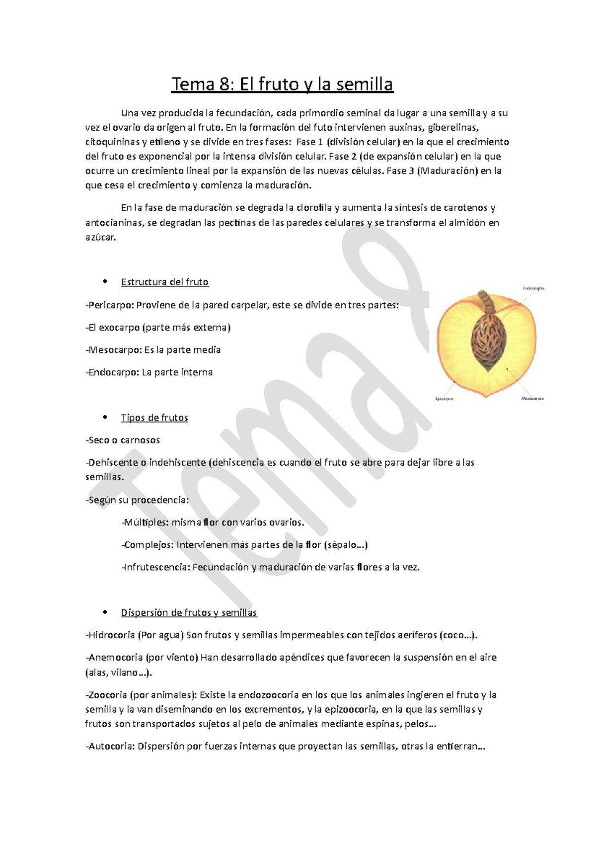 Tema 8 Formación del fruto - Tema 8: El fruto y la semilla Una vez ...