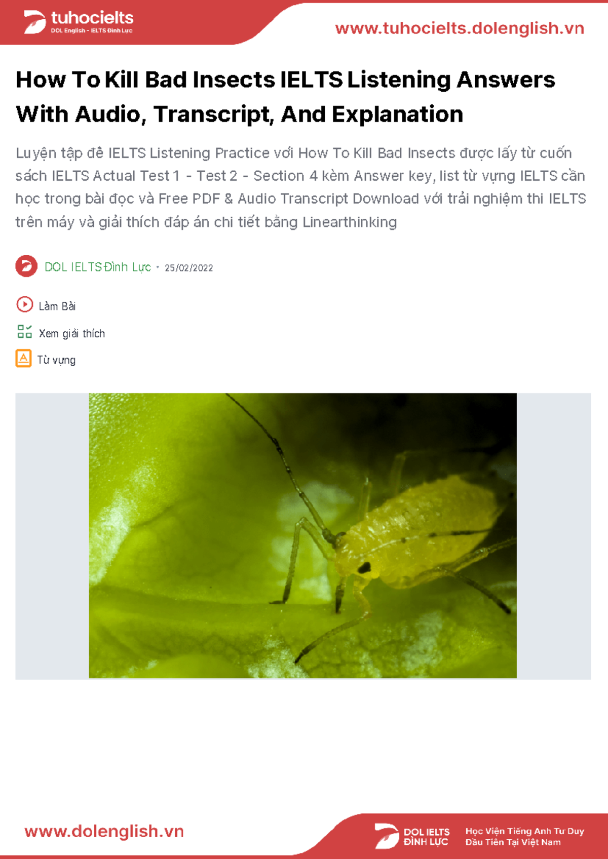 How To Kill Bad Insects - practice - DOL IELTS Đình Lực How To Kill Bad ...