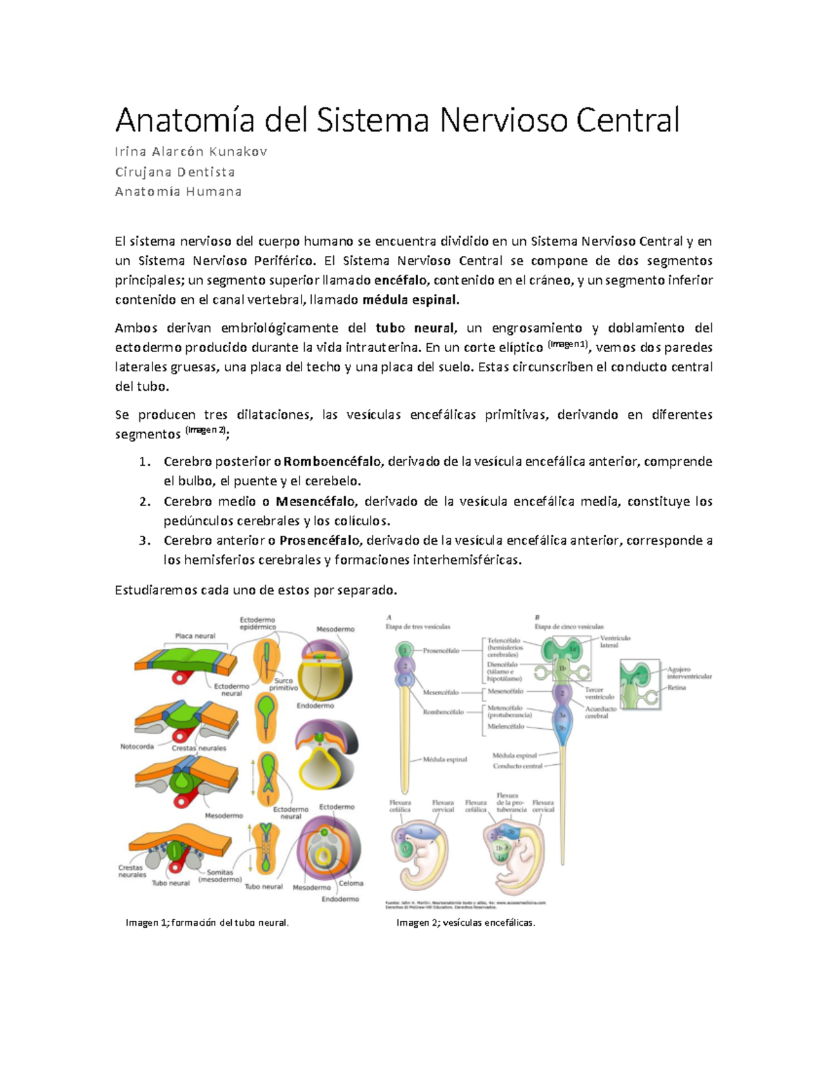Apunte SNC - Anatomía del Sistema Nervioso Central Irina Alarcón ...