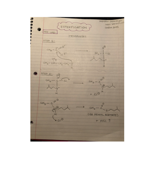 Enthalpy of Formation of Ammonium Chloride - Enthalpy of Formation of ...