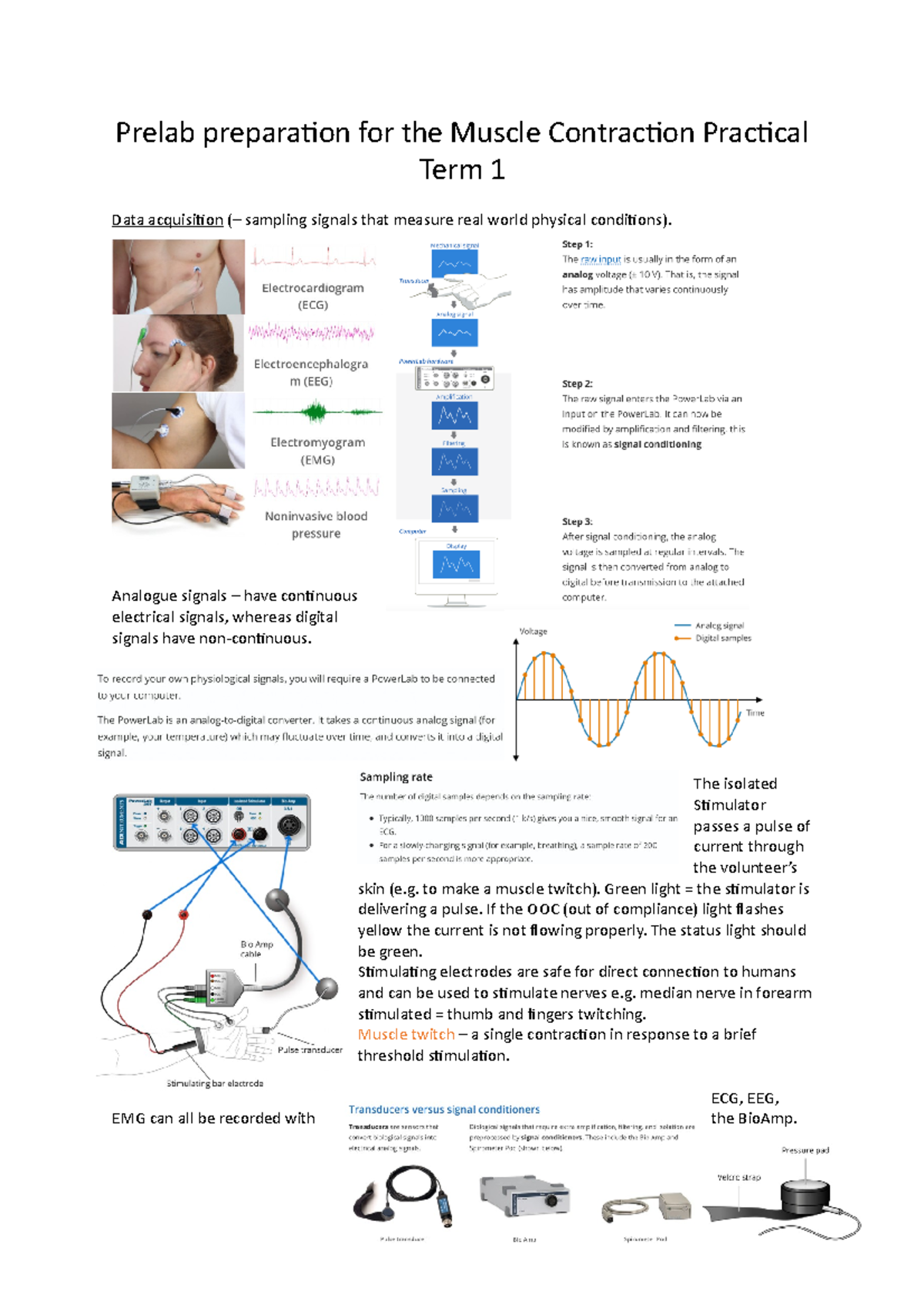 Pre-lab notes Muscle practical - Prelab preparation for the Muscle ...