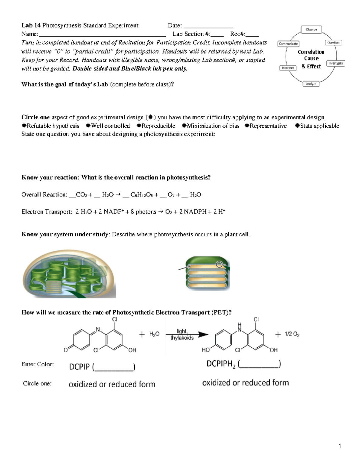 Lab14 Photosynthesis Rec handout s23 - 1 Lab 14 Photosynthesis Standard ...