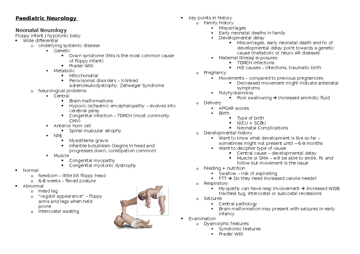 Paediatric Neurology - Paediatric Neurology Neonatal Neurology Floppy ...