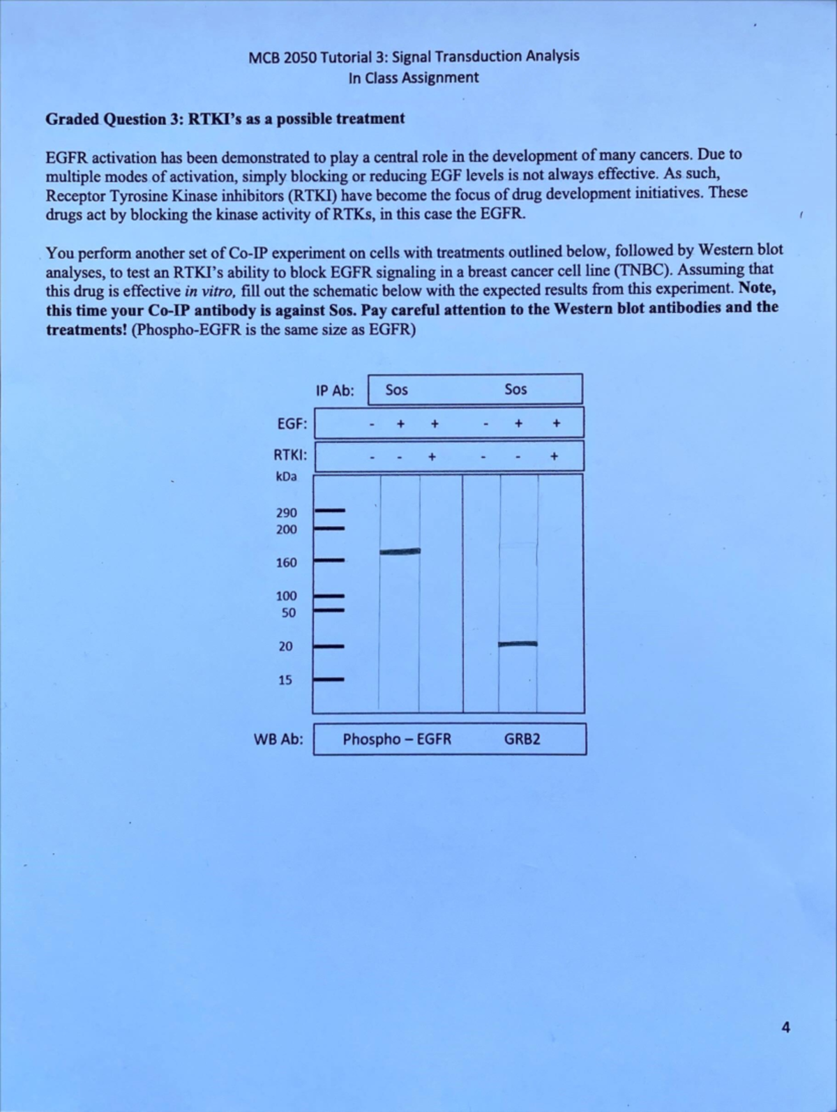 MCB*2050 Tutorial 3 Signal Transduction Analysis Assignment - MCB 2050 Tutorial 3: Signal - Studocu