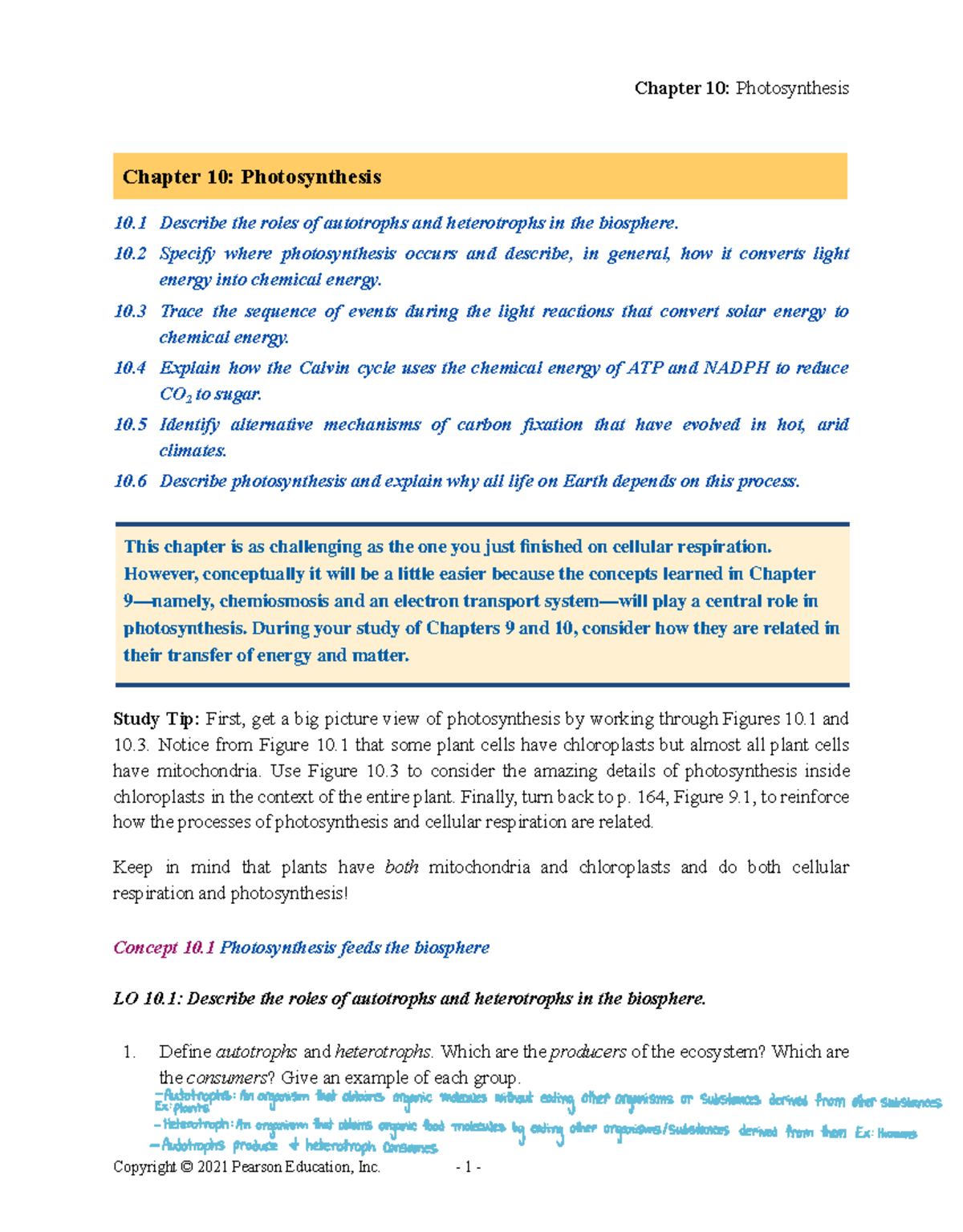 FB5F1A6B 42A3 4988 A72D 927D496E5EC4 - Chapter 10: Photosynthesis 10 ...