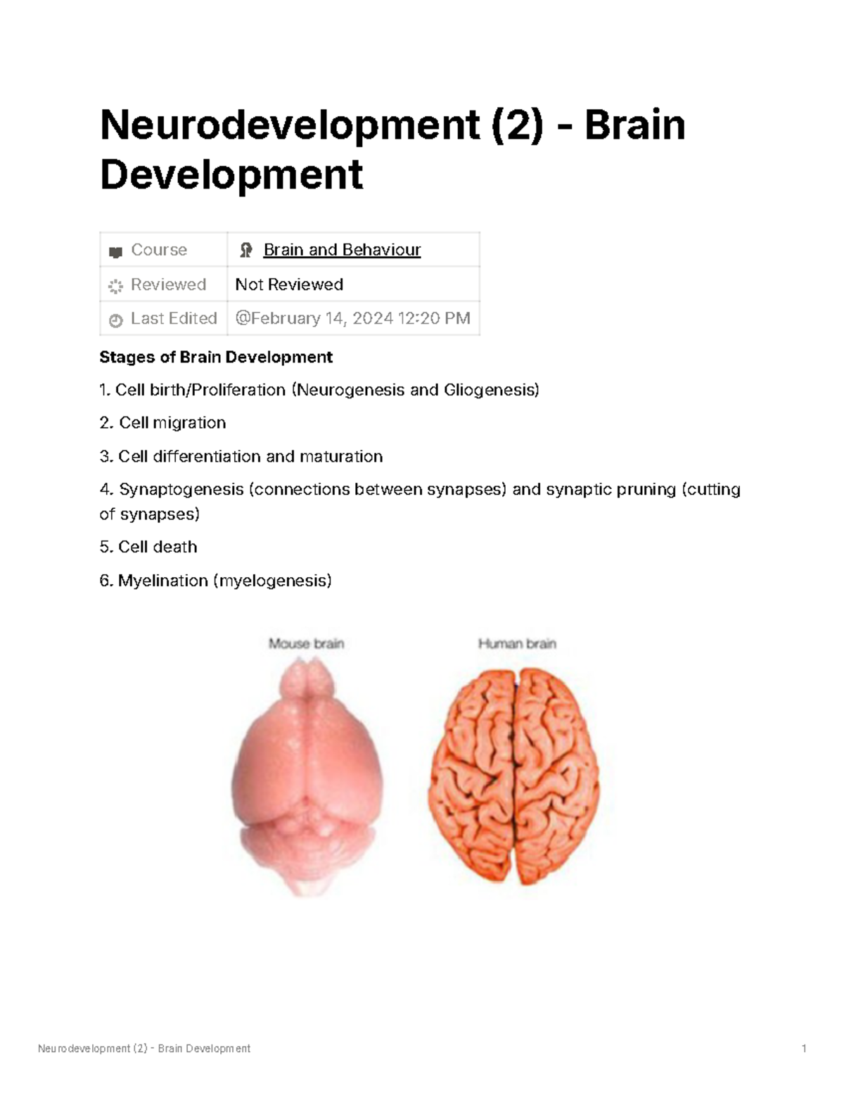 Neurodevelopment (2) - Brain Development - Neurodevelopment (2) - Brain Development Course Brain ...