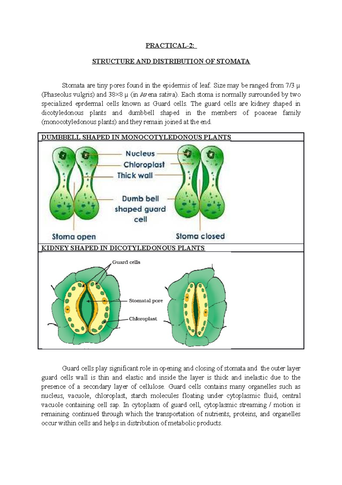 Crop Physiology Exercise-2 - PRACTICAL-2: STRUCTURE AND DISTRIBUTION OF ...