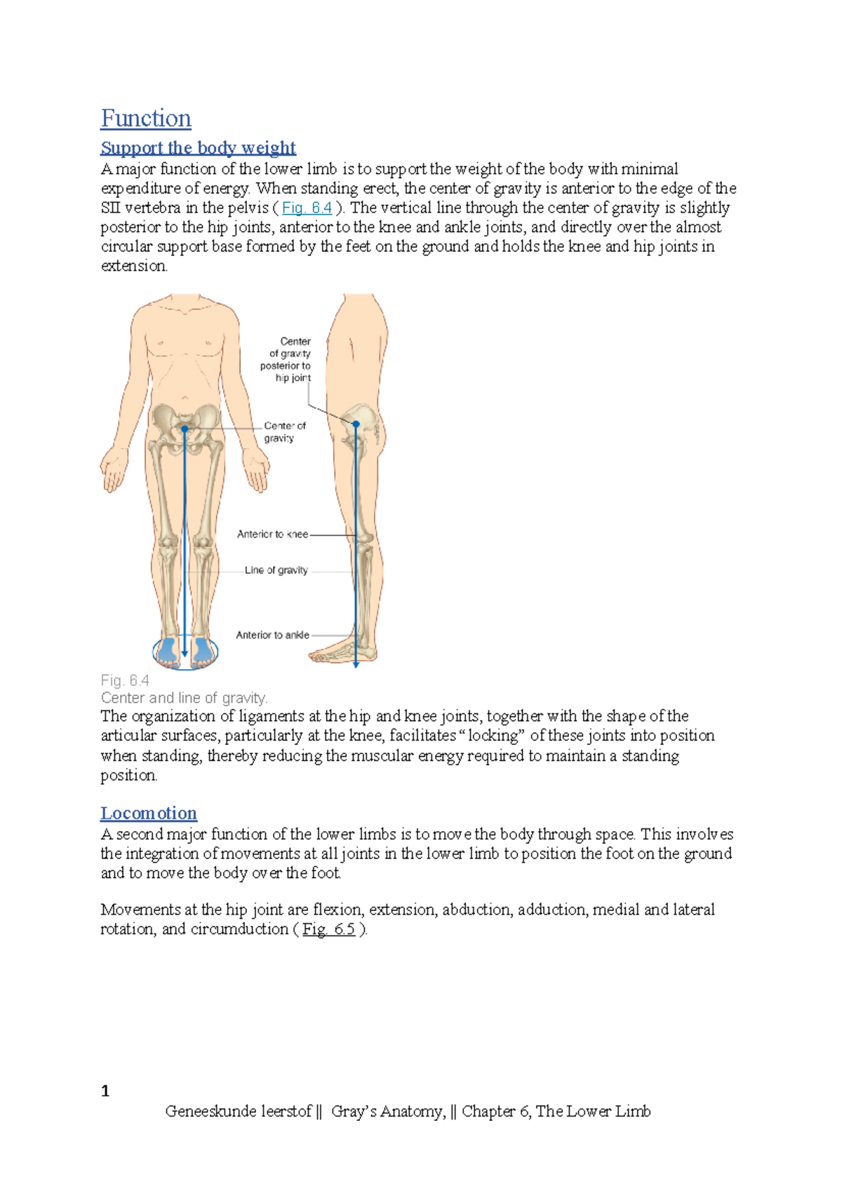 Geneeskunde leerstof, Gray's Anatomy, Chapter 6, The Lower Limb ...