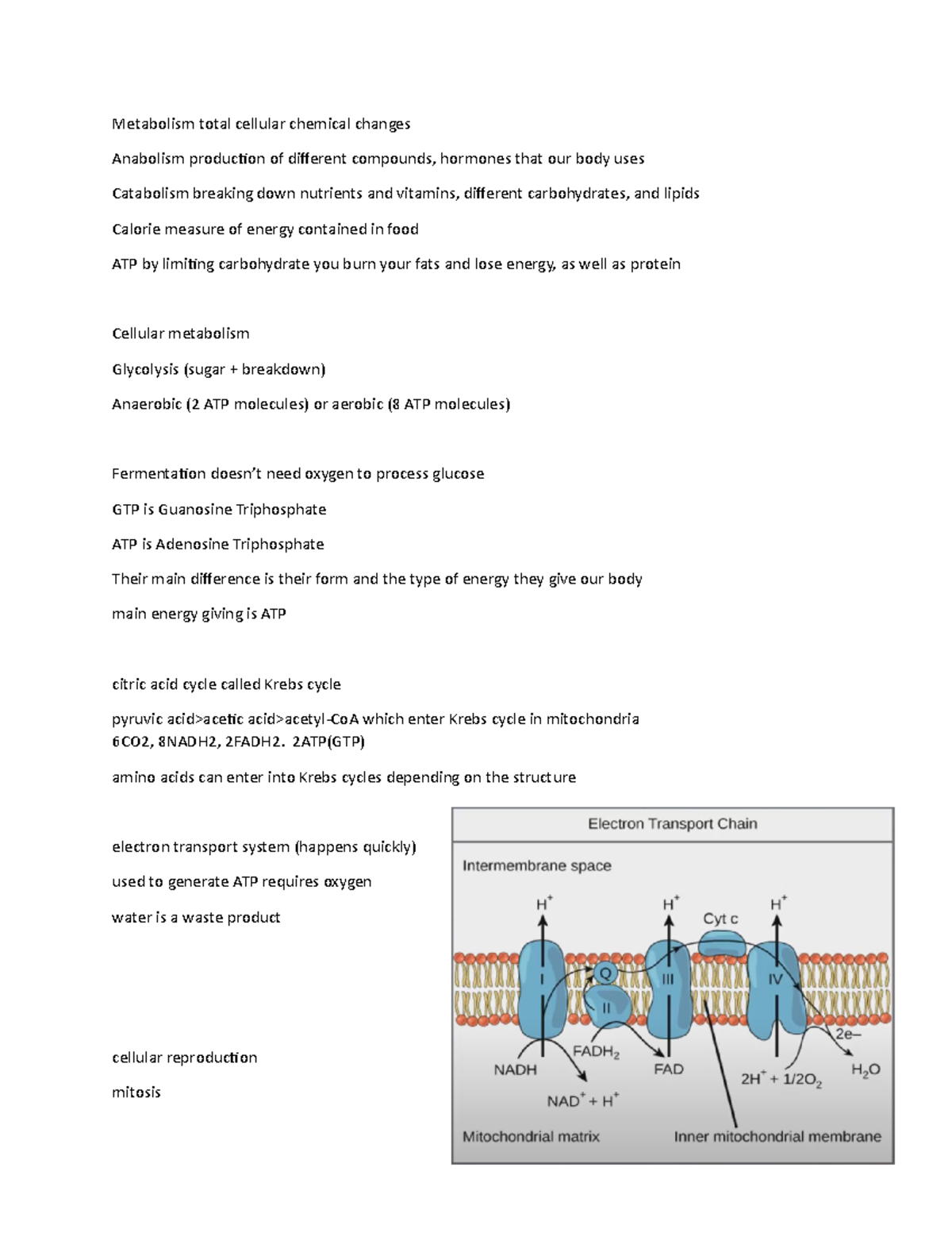 Anatomy AND Physiology 3 - Metabolism total cellular chemical changes ...