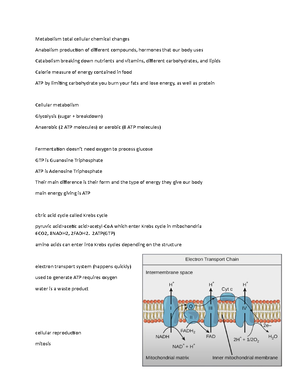 Anatomy AND Physiology 2 - Cell Structure Objective Define cell ...