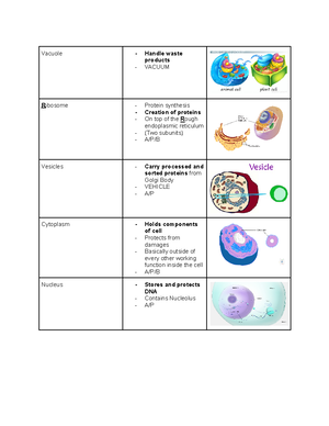 02 04 membrane transport - 02 Biology Notebook: Membrane Transport Note ...