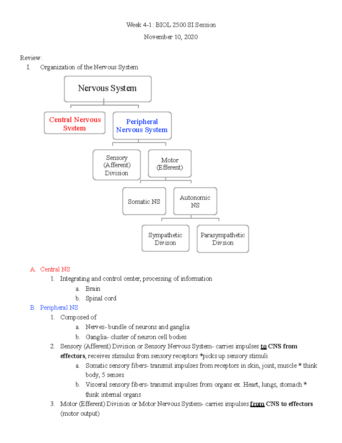 Organization of the Nervous System and Reflex Arc - Studocu