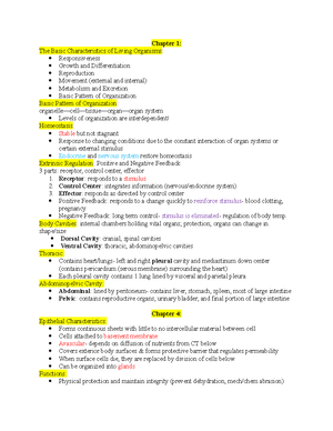 A&P Chapter 12 Nervous Tissue - Chapter 12: Nervous Tissue Nervous ...