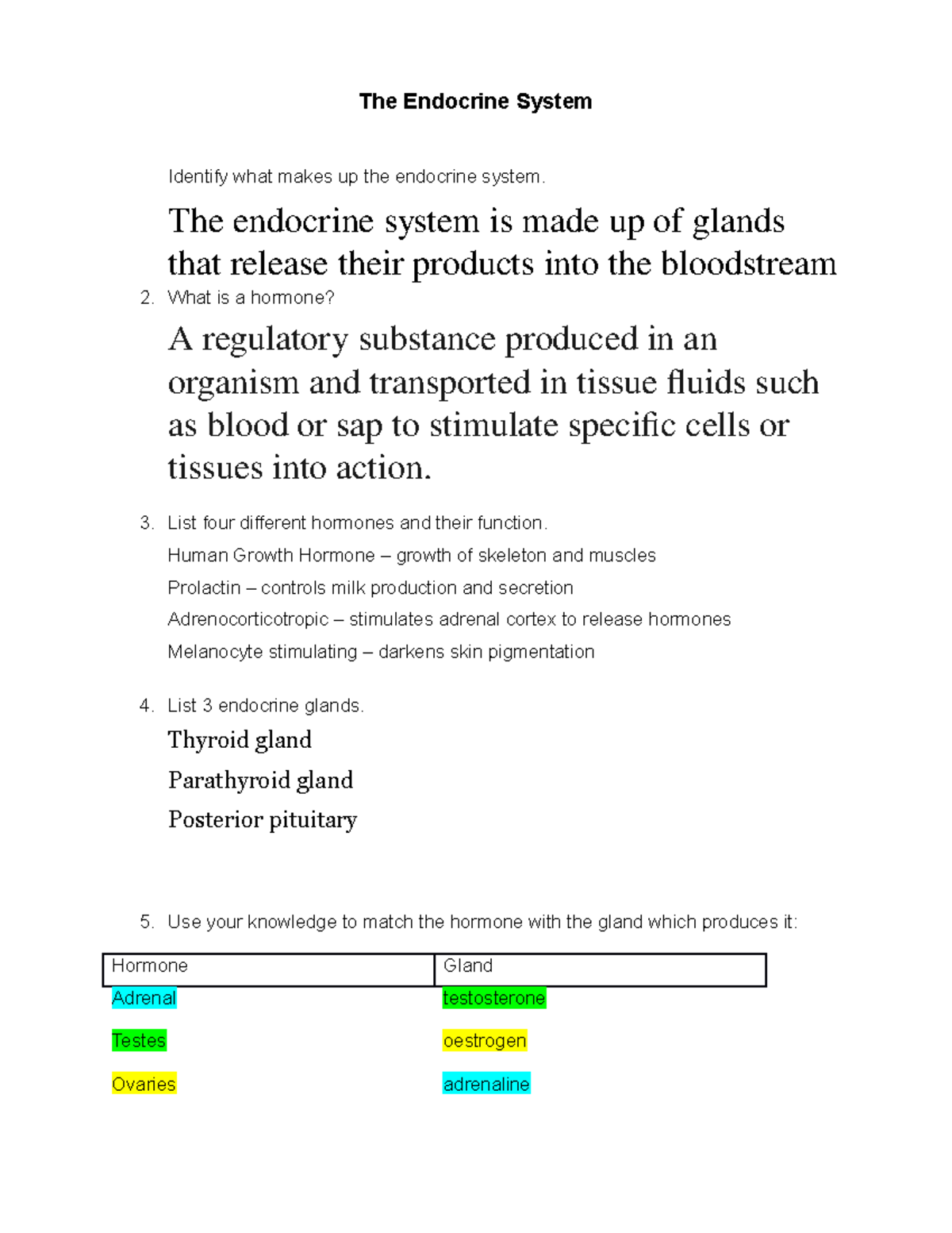The Endocrine System - Very good practical workVery good practical ...
