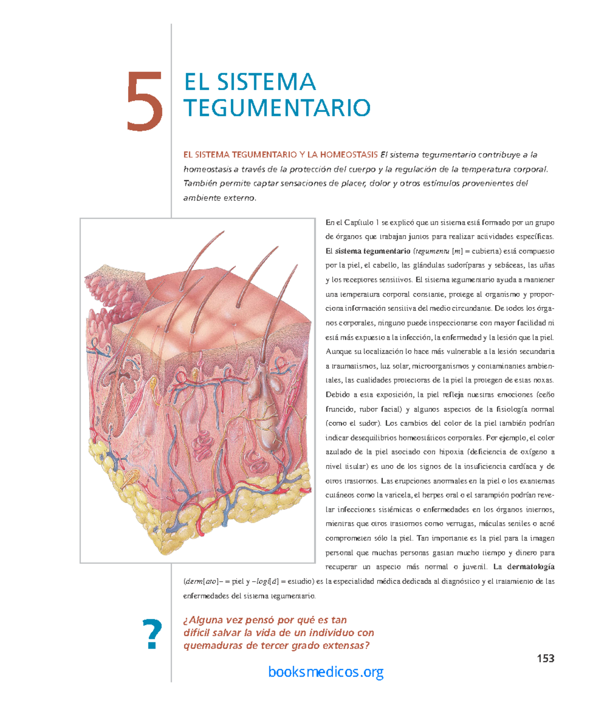 Tortora Principios de Anatomia y Fisiologia (pdf - En el Capítulo 1 se ...