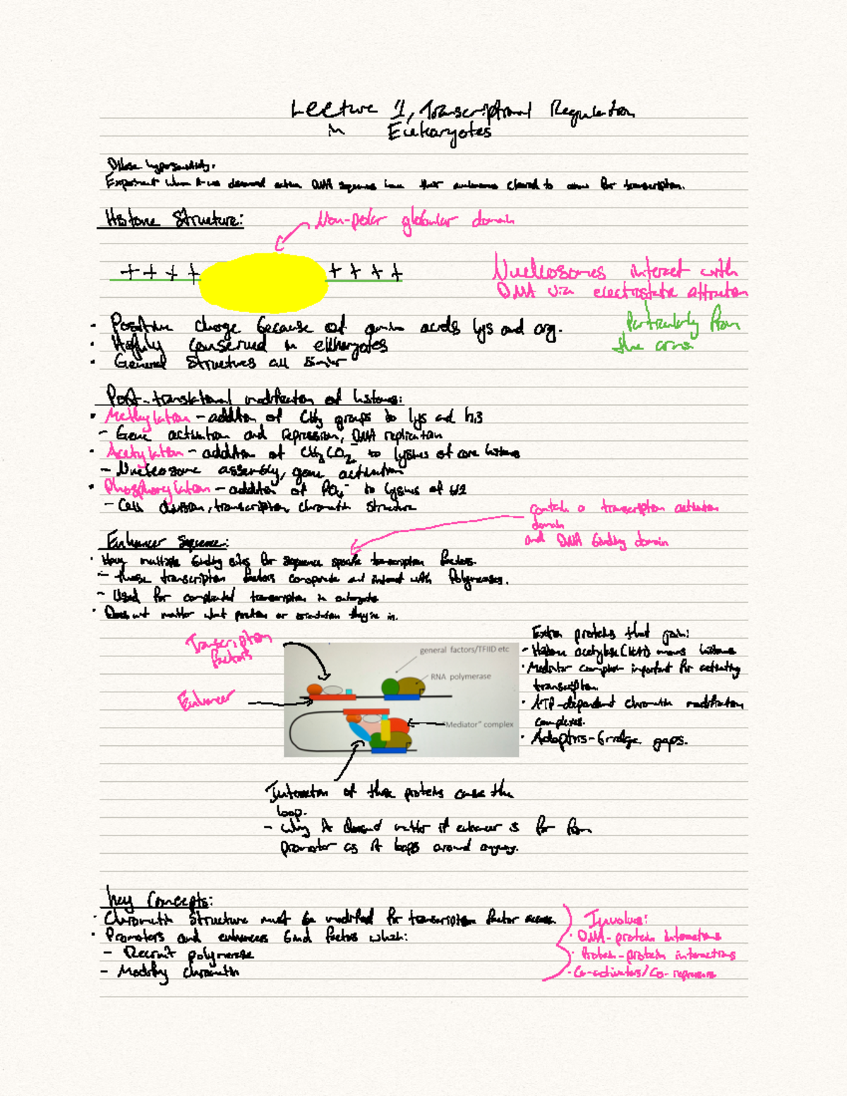 Module 5 Gene expression in eukaryotes - BIOL10221 - Studocu