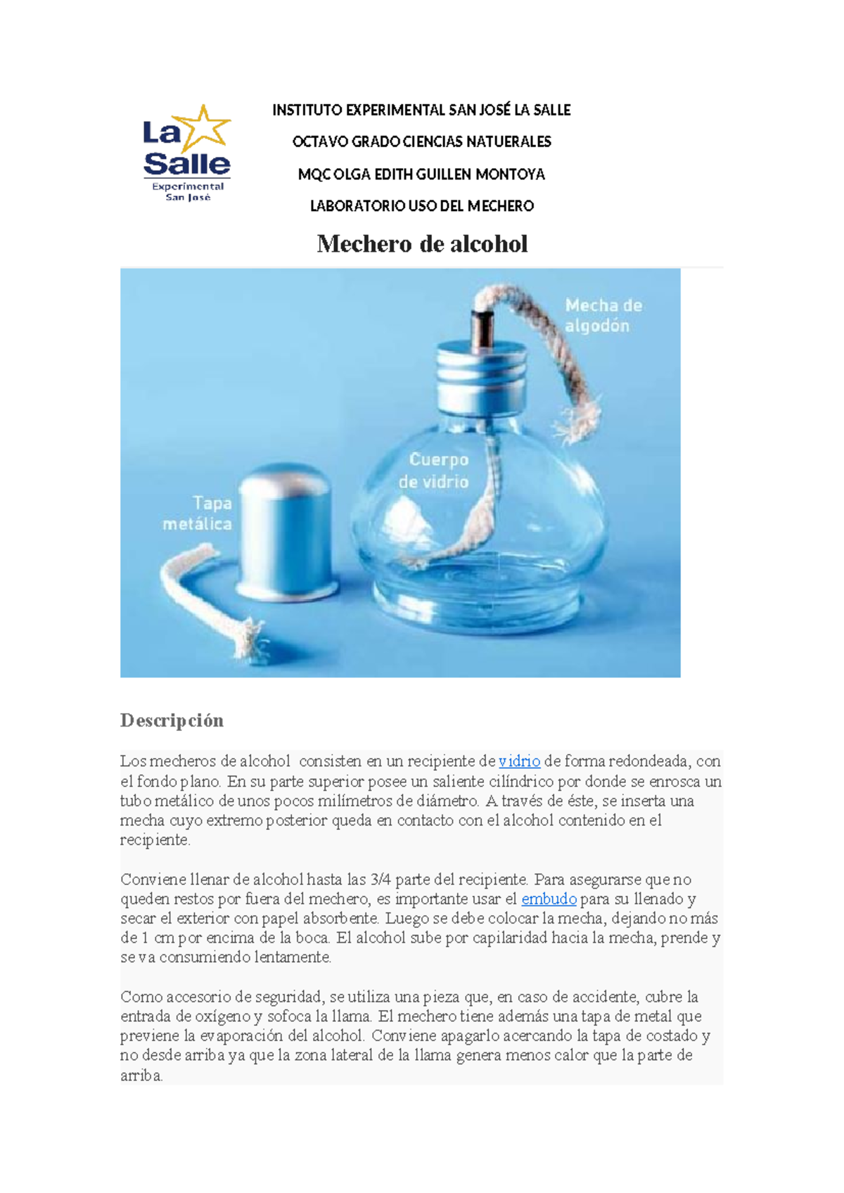 Uso mechero de alcohol, gradilla, tubo de ensayo y pinzas de tubo de ...