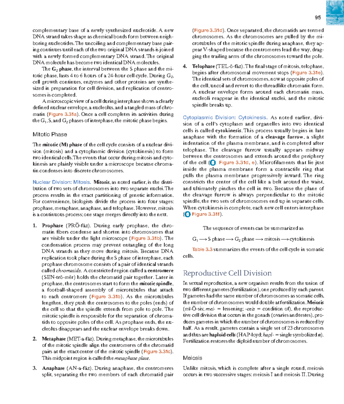 Anatomyandphy-49 - N/A - 95 (Figure 3). Once separated, the chromatids ...