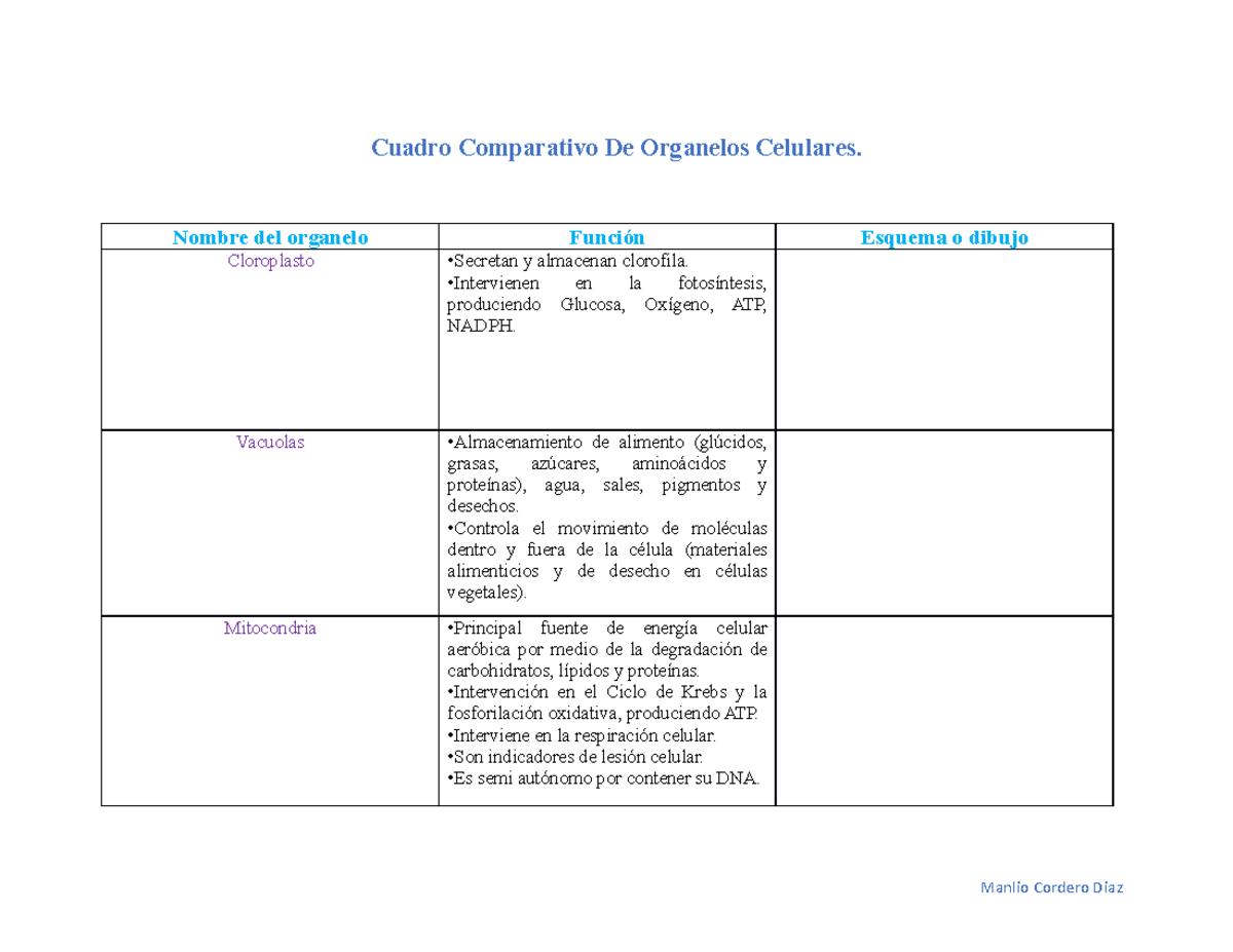 Cuadro Comparativo De Organelos Celulares Nombre Del Organelo Función