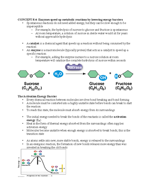 8.2 Campbell Biology TextBook Intro to Metabolism - CONCEPT 8: The free ...