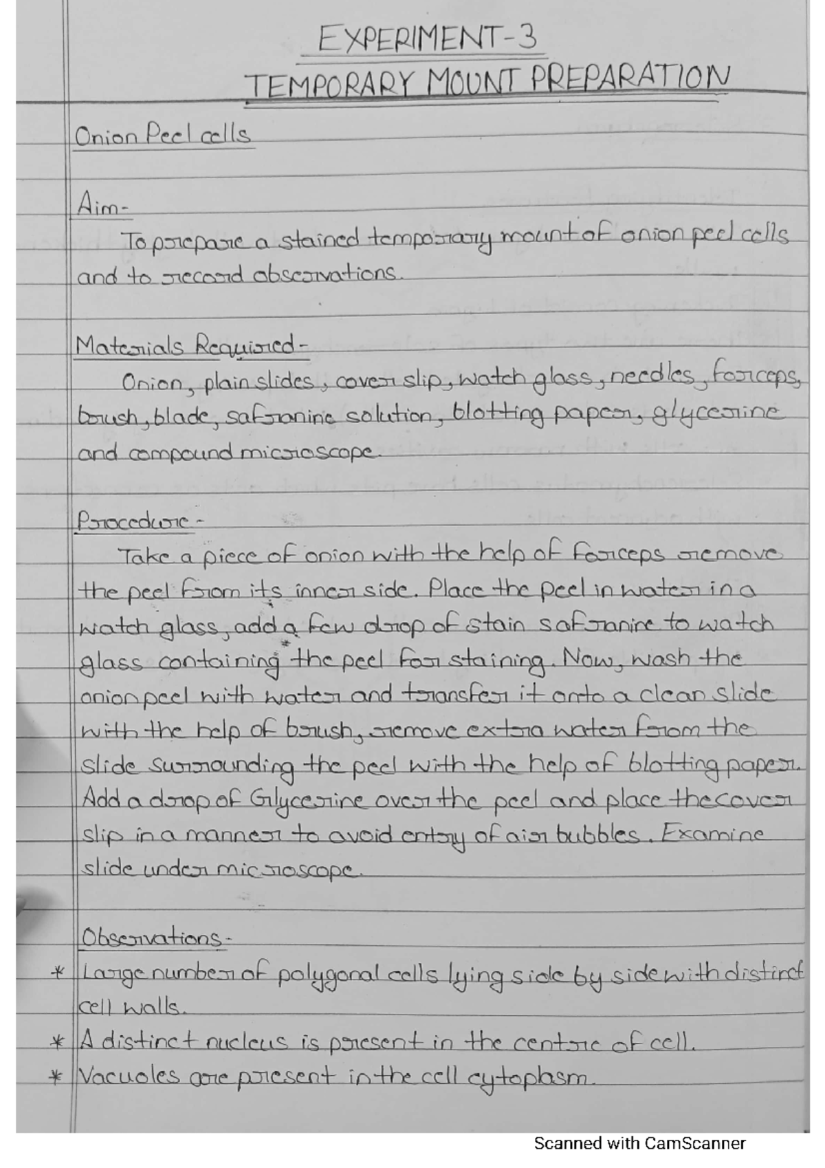 Cam Scanner 12-19-2022 22 - TEMPORARY MOUNT PREPARATION Onion Peel ...