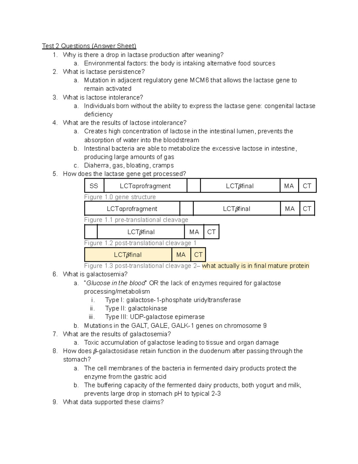 Test 2 Questions - Test 2 Questions (Answer Sheet) 1. Why is there a ...