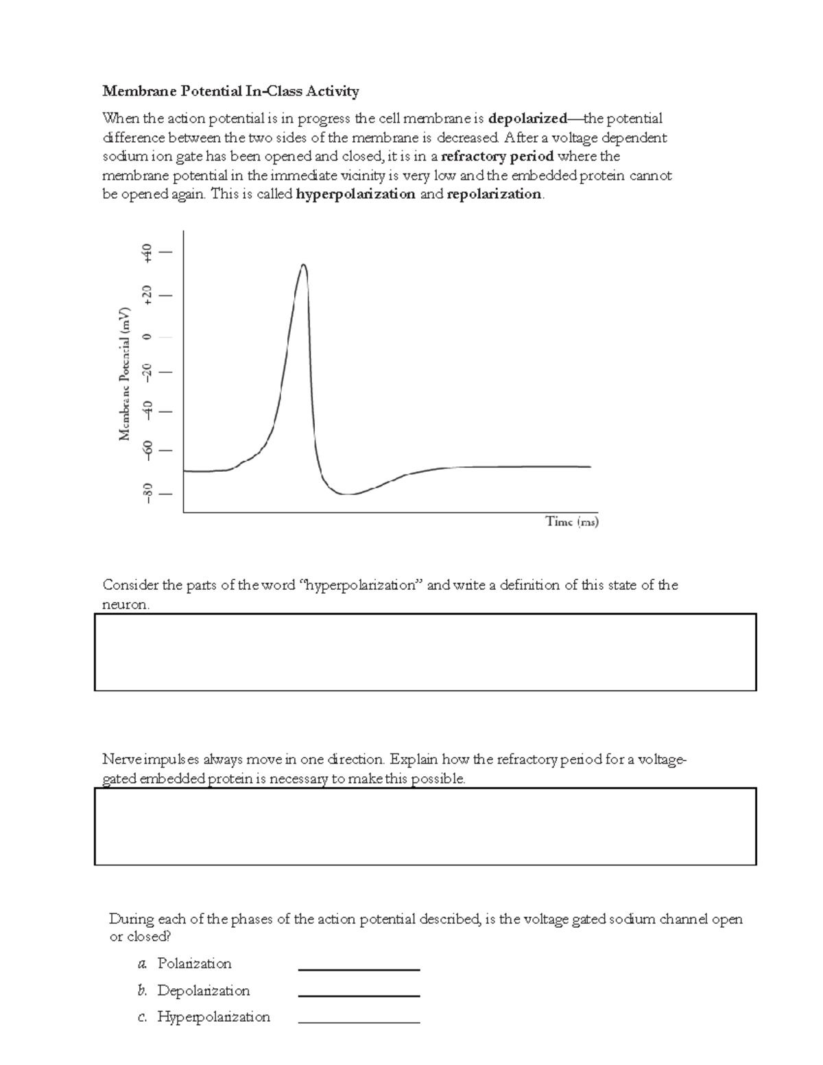 48.5 Membrane Potential In Class Activity Worksheet - Membrane ...
