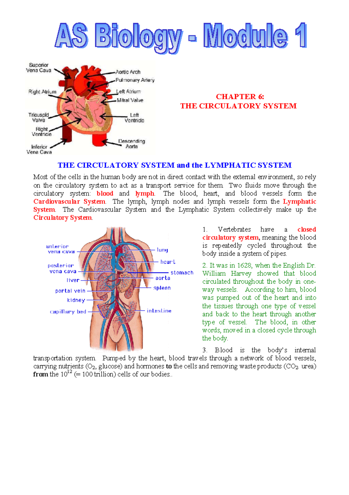 Circulatory System - HUMAN PHYSIOILOGY - CHAPTER 6: THE CIRCULATORY ...