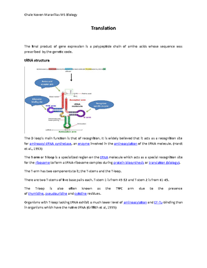 How genes work lesson plan - DLP No. LEARNING AREA GRADE LEVEL QUARTER ...