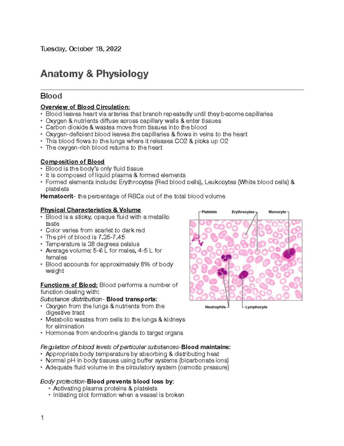 ANP 1105 Blood - Tuesday, October 18, 2022 Anatomy & Physiology Blood ...