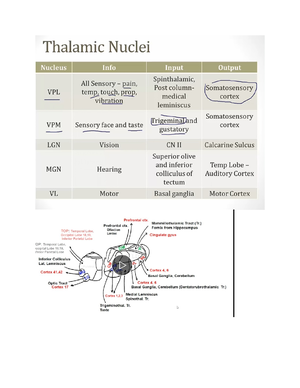Clements 1962 - Minimal Brain Dysfunction in the School Age Child ...