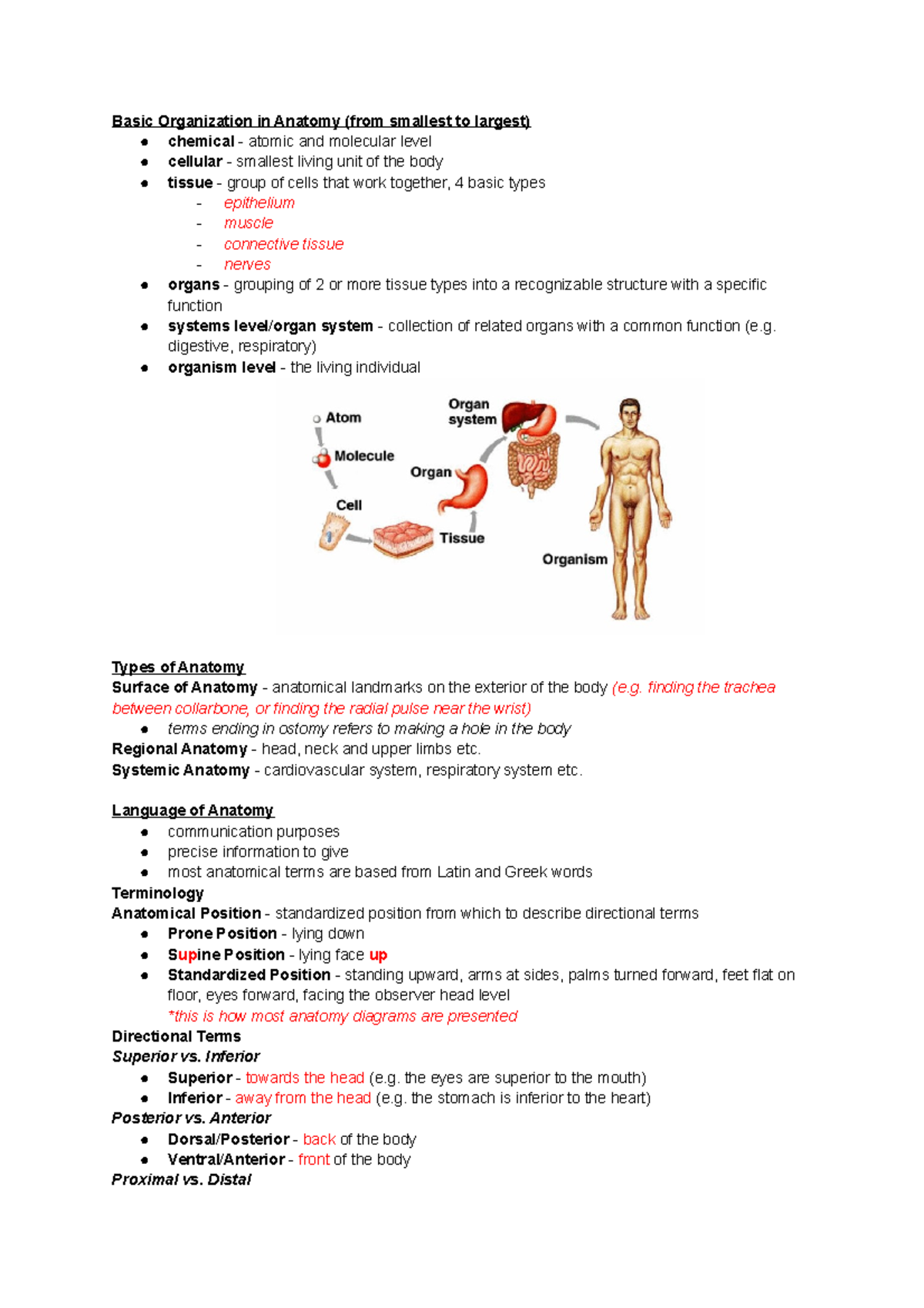 1 - Introduction to Anatomy & Physiology - Basic Organization in ...
