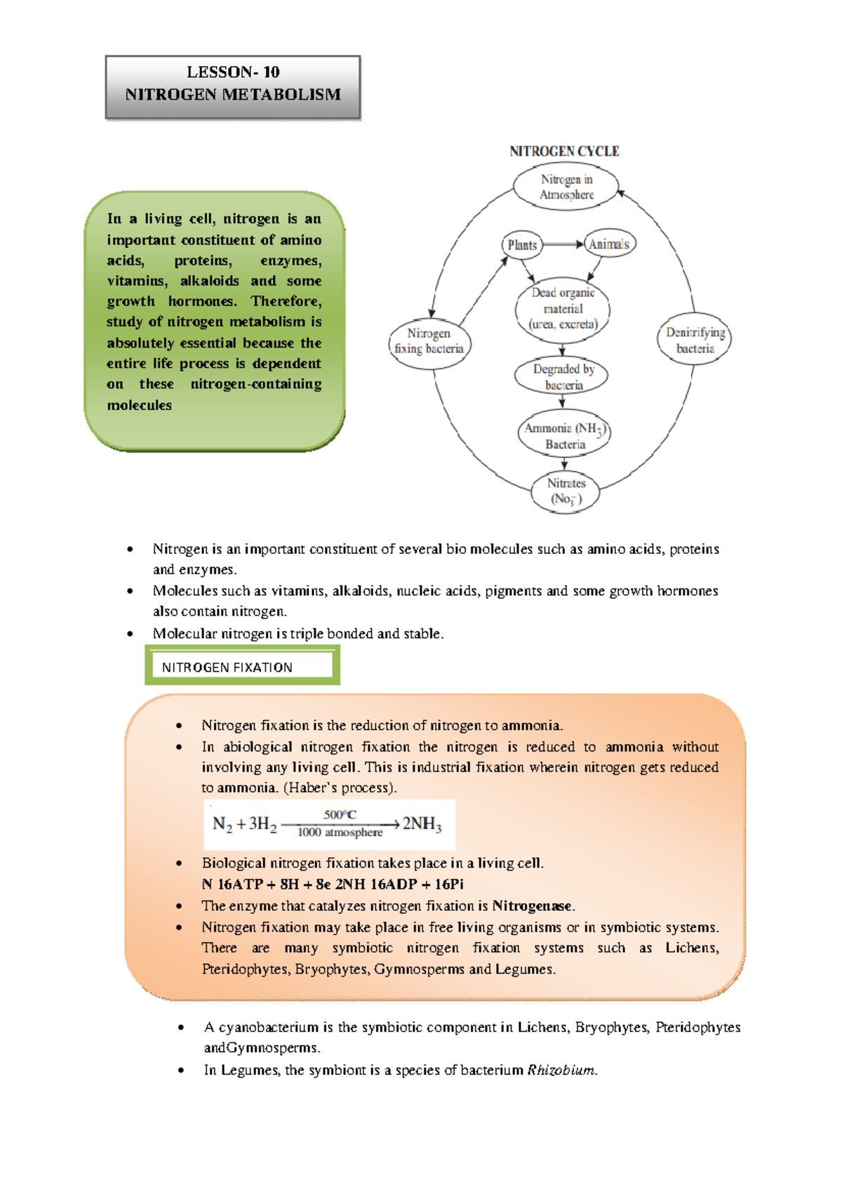 314 LG Eng L10 - SOME STUDY ITEMS THAT CAN BE HELPFUL - Nitrogen is an ...