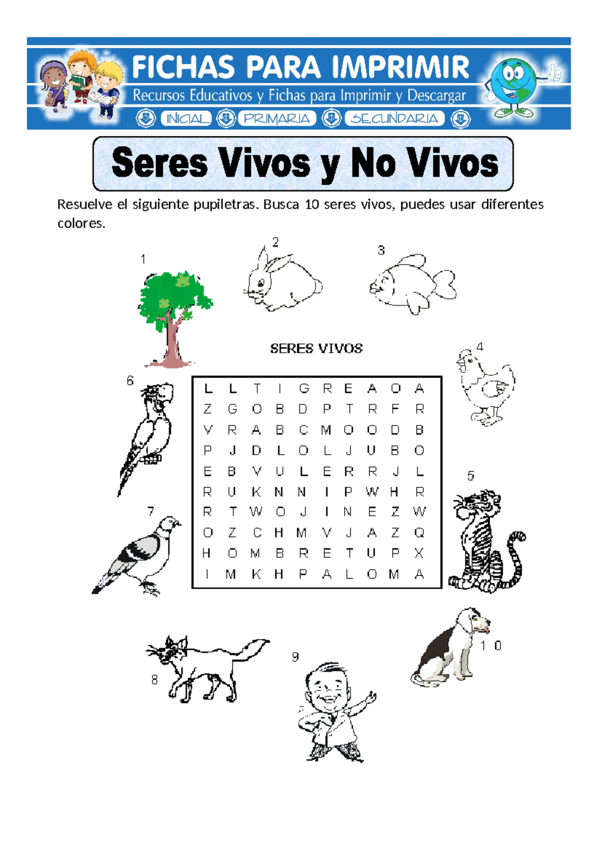 Ficha de Seres Vivos y No vivos para Primaria - ciencias naturales ...