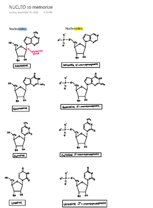 Nucleic Acid