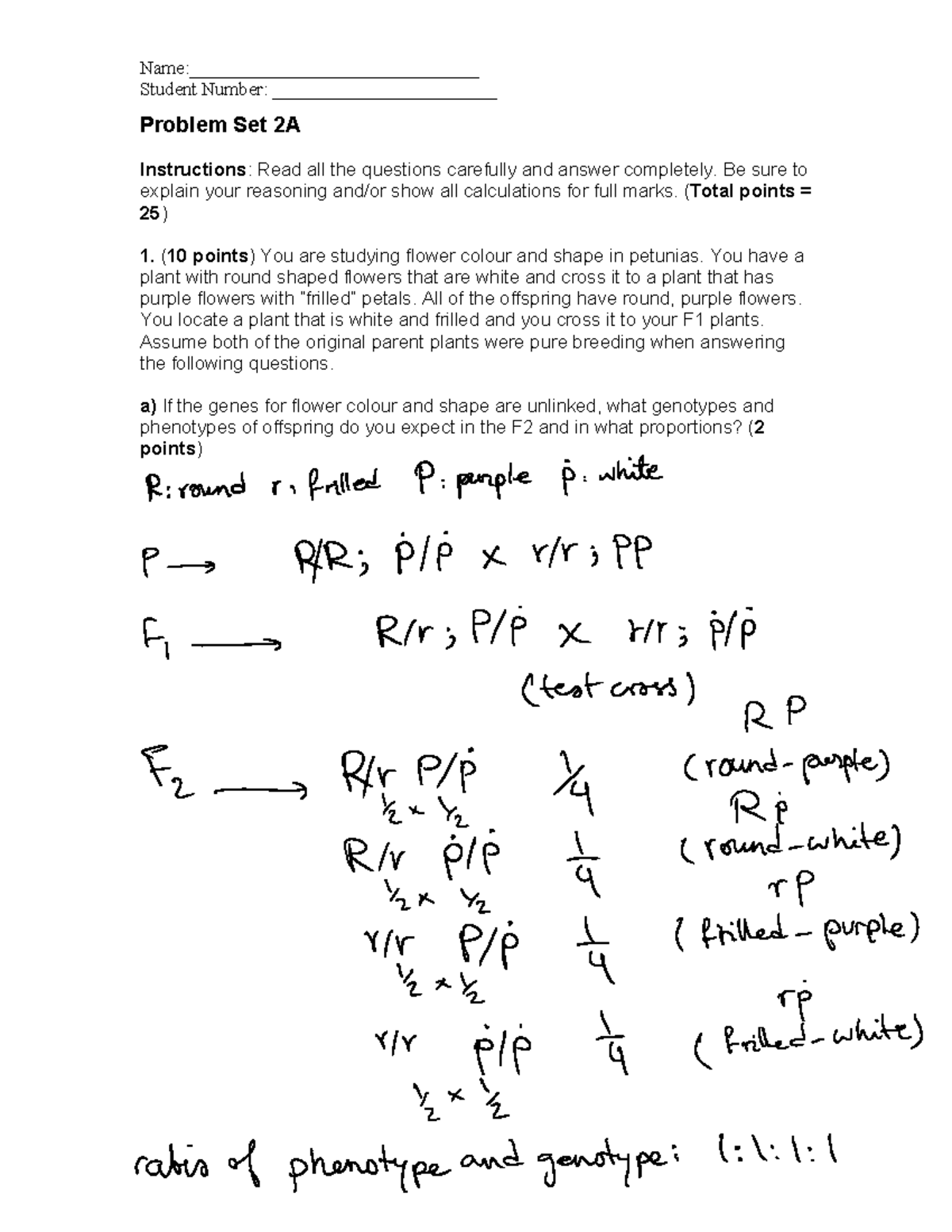 Problem Set ii MM - Student Number: ________________________ Problem Set 2A Instructions: Read ...