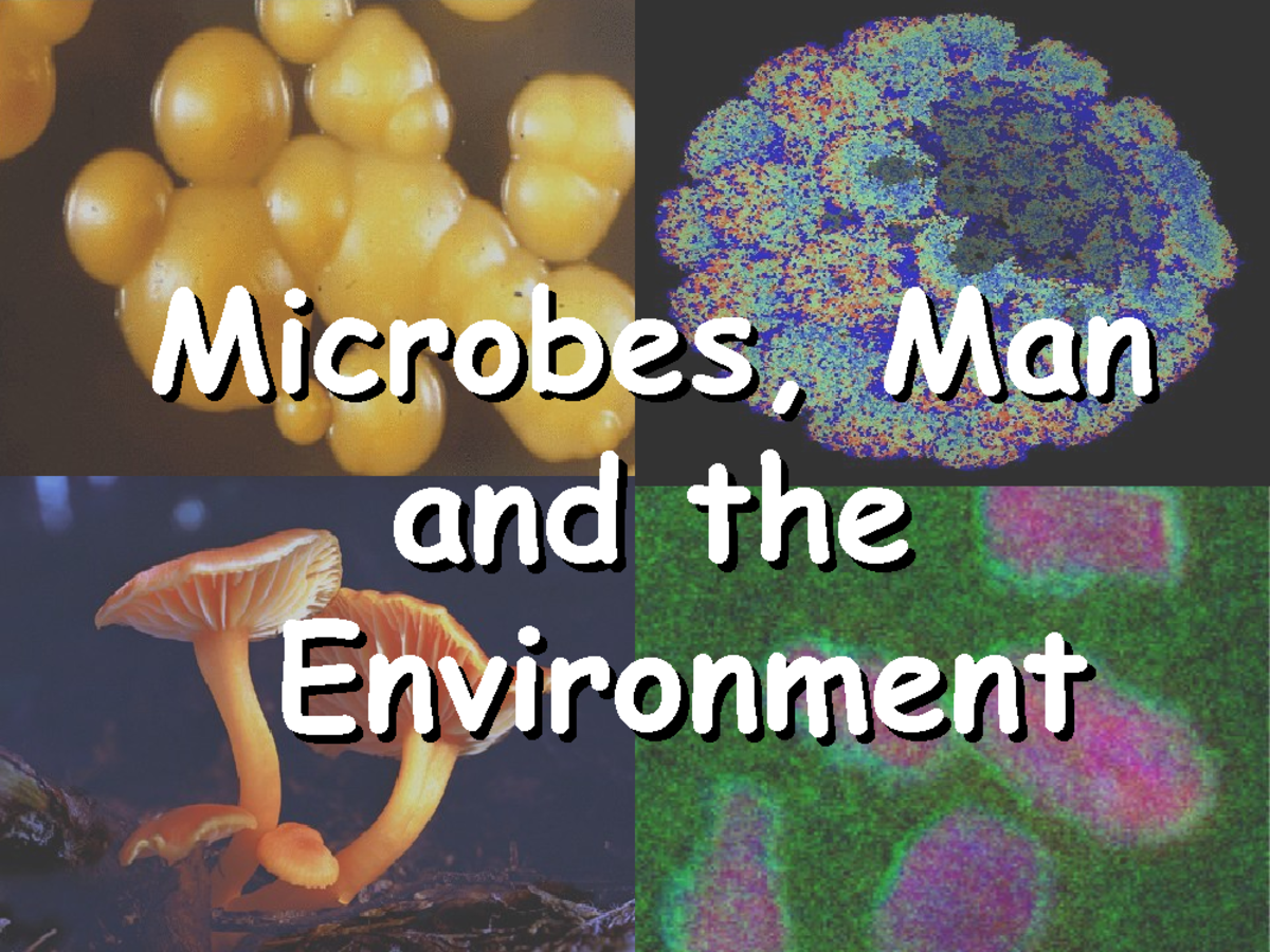 Lecture slides, lecture 1 - Microbes, Man and the Environment The earth ...