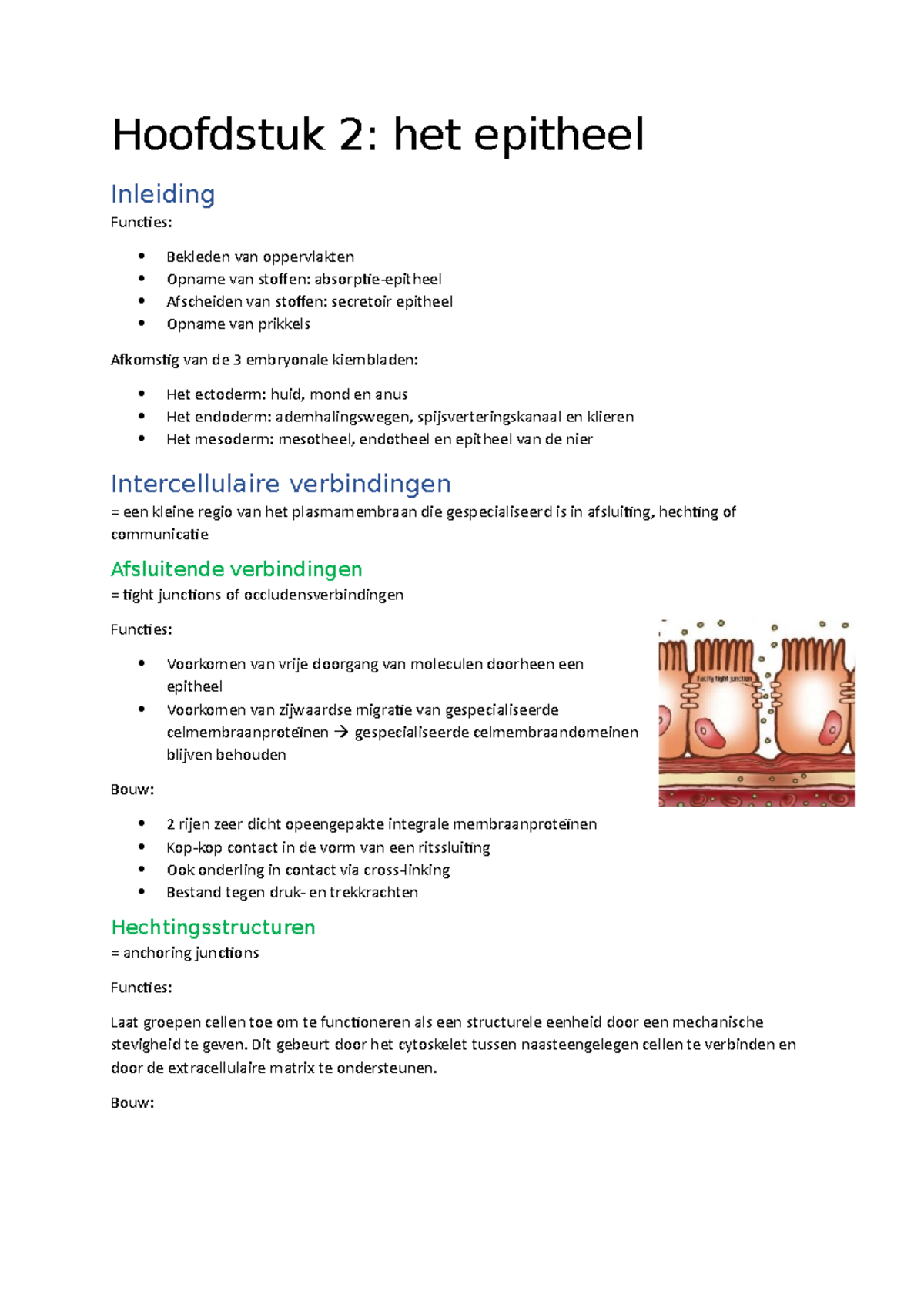 H2 het epitheel - syllabus + pwp - Hoofdstuk 2: het epitheel Inleiding ...