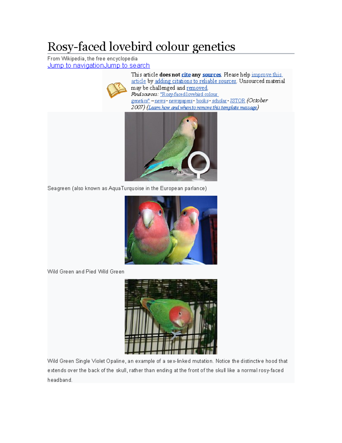 Rosy - lectura extra para complementar estudio - Rosy-faced lovebird ...