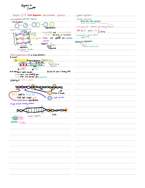 Molecular Genetics- Exam 1 quizzes - Which form of dsDNA is left handed ...
