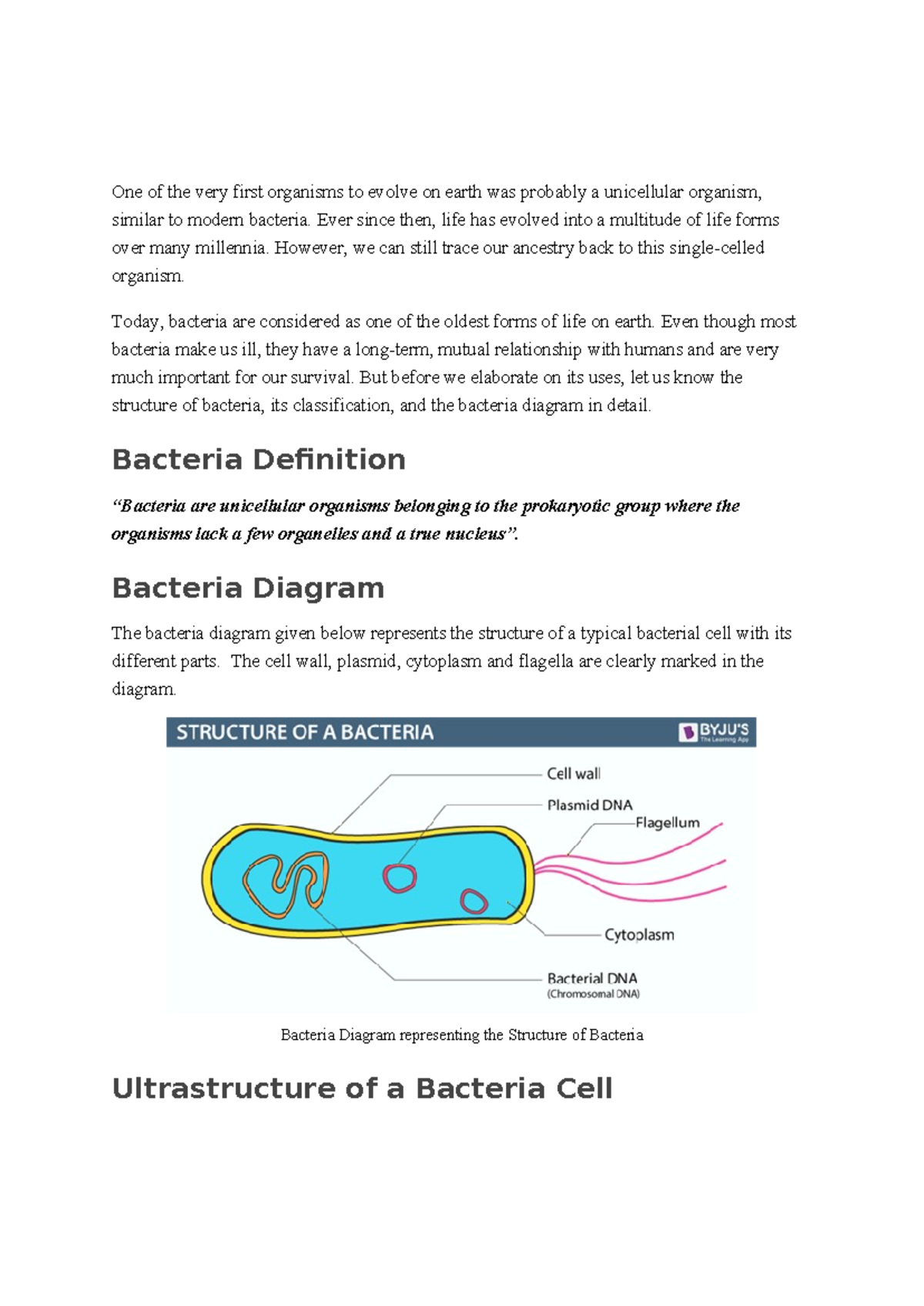 Bacteria - Bacteria One of the very first organisms to evolve on earth ...
