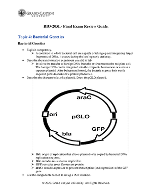 Microorganisms Human Infectious Diseases - Sec(on: BIO 205-L Instructor ...