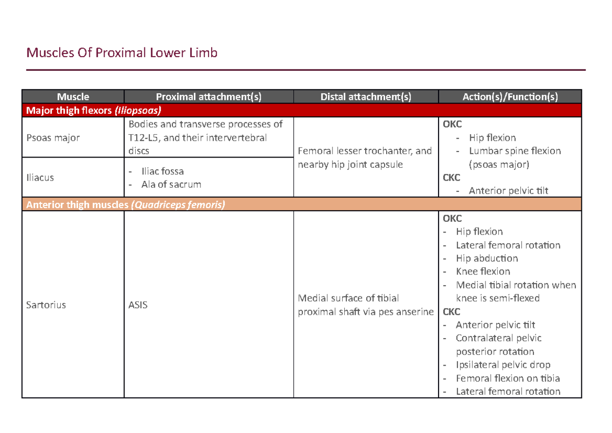 Week 2.1 - Muscles Of Proximal Lower Limb - Muscles Of Proximal Lower ...