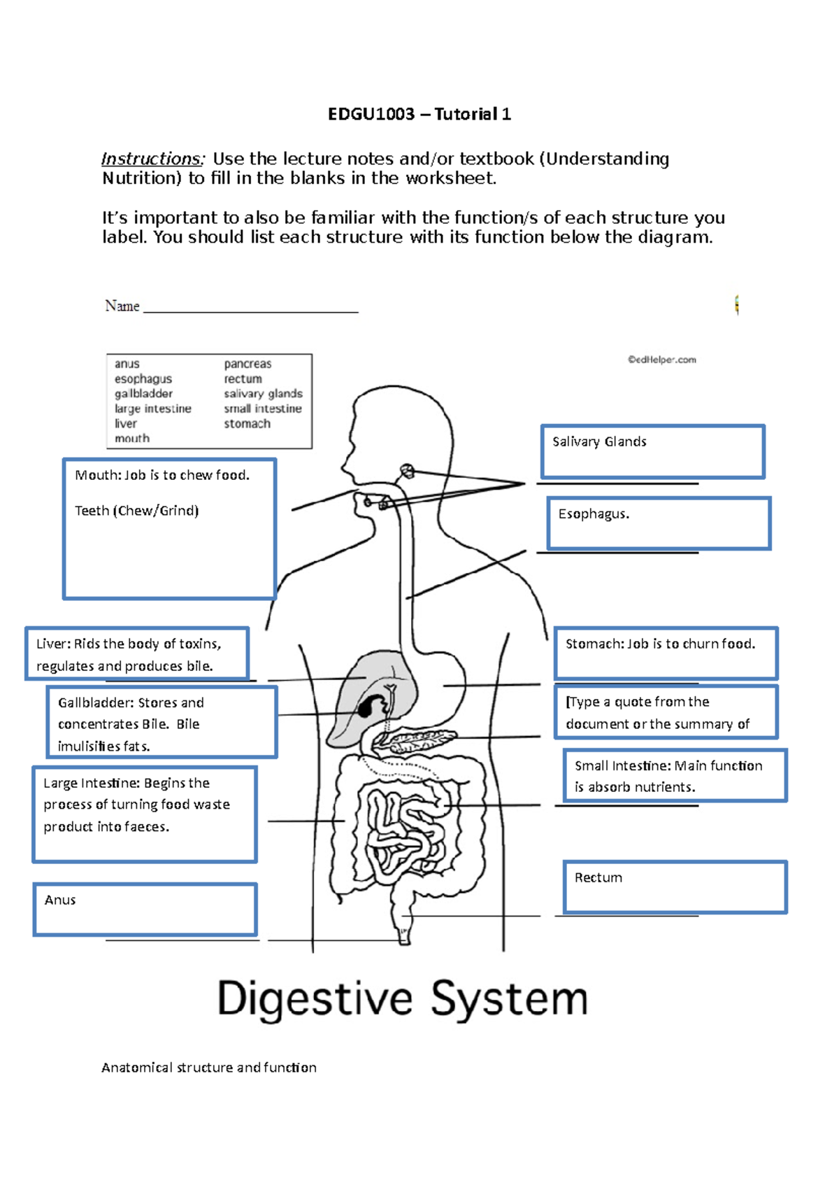 Tutorial 1 Online Digestion Activities Int Feb 2021 - EDGU1003 ...