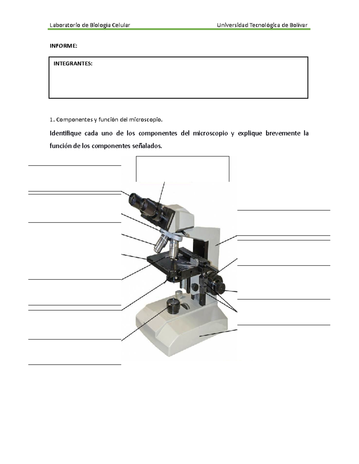 Informe Práctica 1 (microscopio) - Laboratorio de Biología Celular ...
