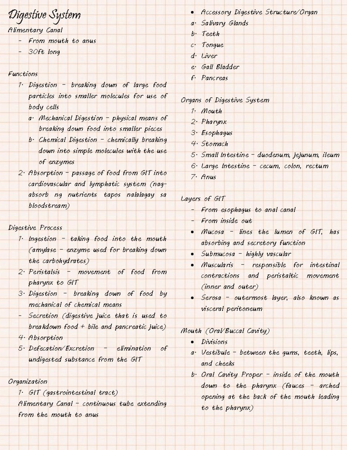Digestive System - Digestive System Alimentary Canal - From mouth to ...