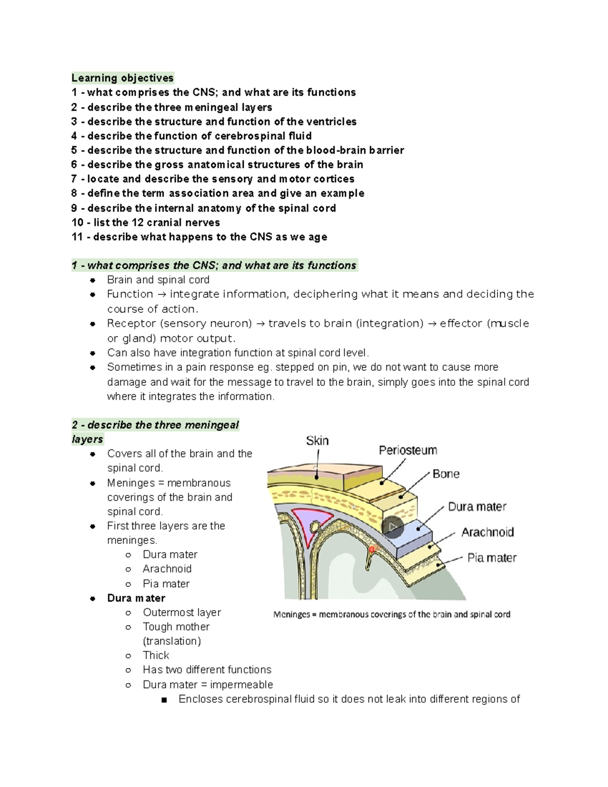 Central Nervous System - Learning objectives 1 - what comprises the CNS ...