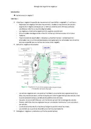 Biologie Evolutive Developpement des métazoaire - BILATÉRIENS •Stade ...
